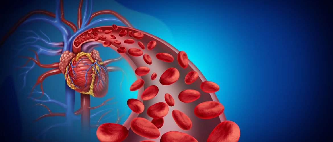 Contrast Therapy Boosts Circulation and Cardiovascular Health
